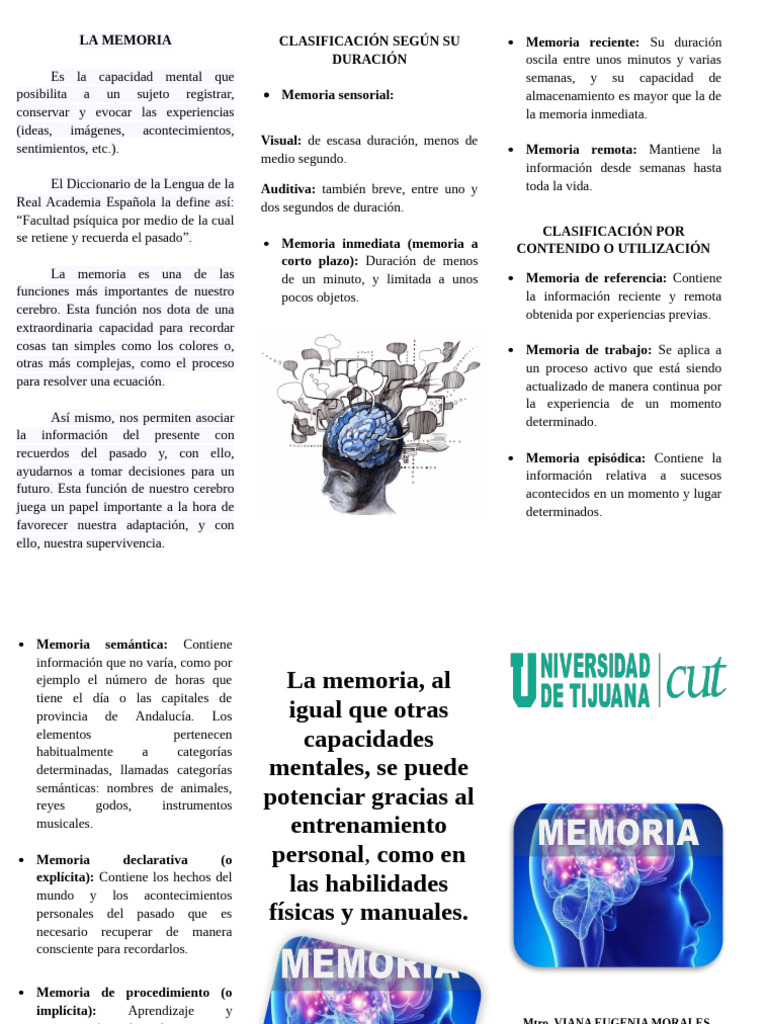 Tripticos Memoria | PDF | Memoria | Sicología