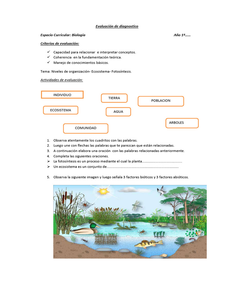 Evaluación de Biología: Ecosistemas y Fotosíntesis | PDF