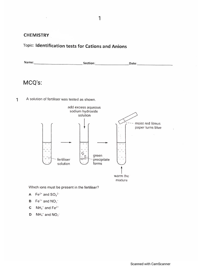 WorksheetIdentificationtestsforCationsandAnions 1 | PDF
