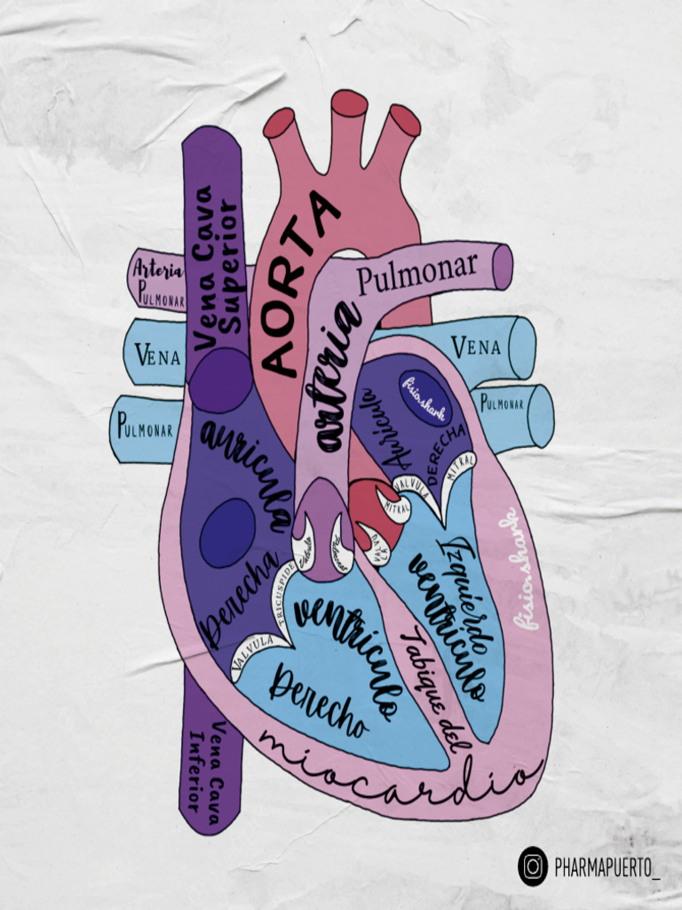 Poster Corazon 60X60 | PDF