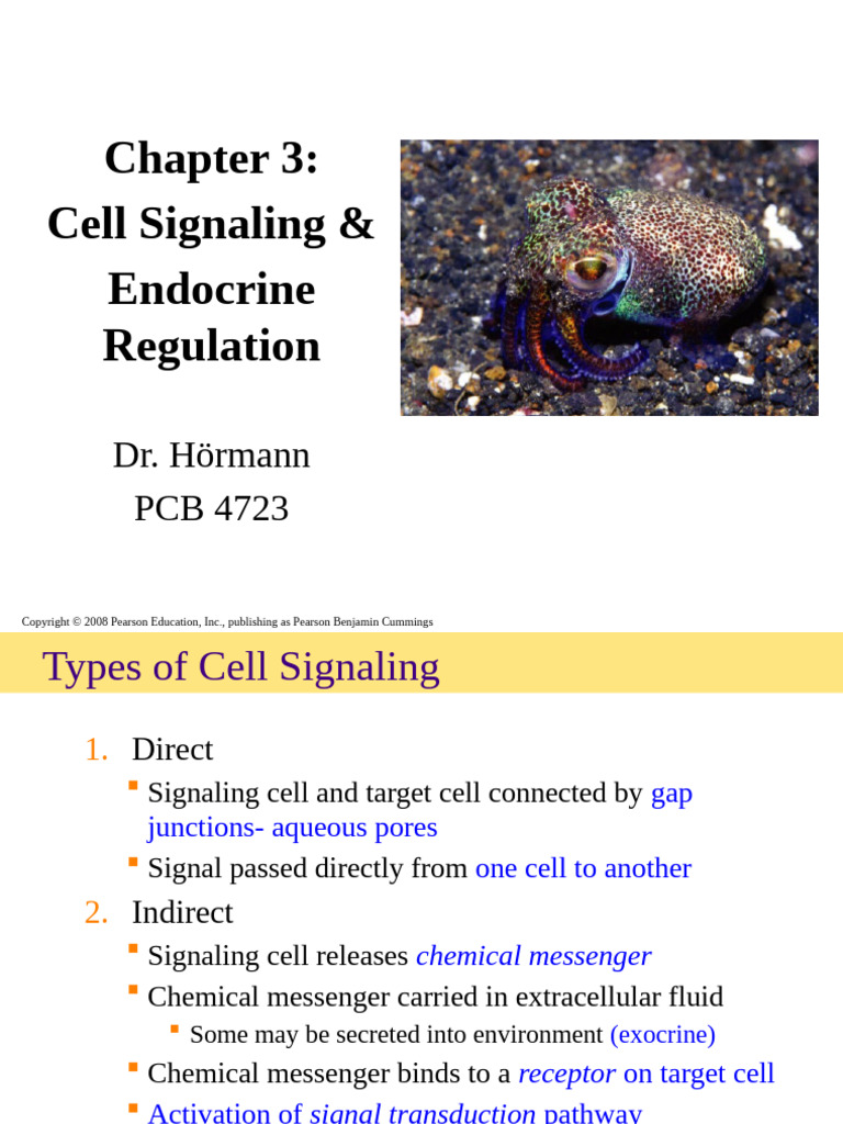 Chapter 3 Cell Signaling and Endocrine Regulation | PDF | Cell ...