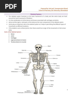 206 Bones List with Locations and PDF | PDF | Skeleton | Knee