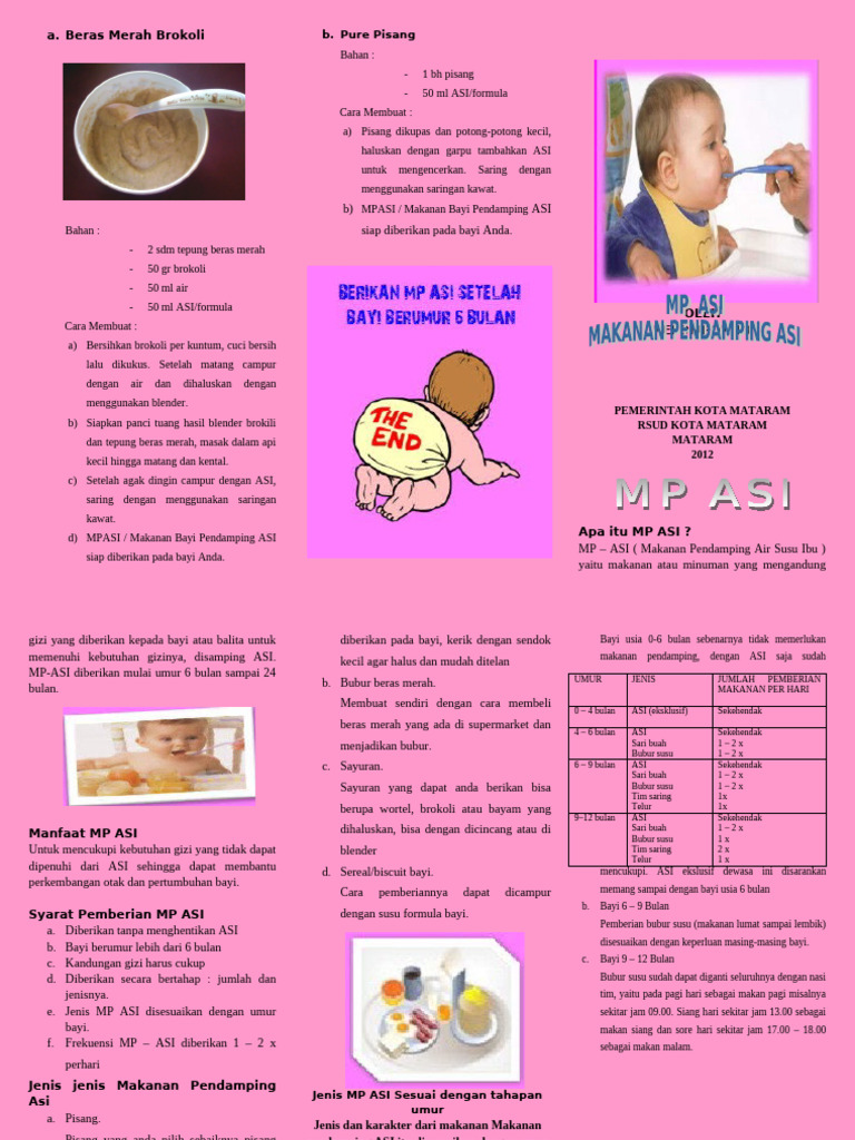 4.leaflet MP ASI | PDF