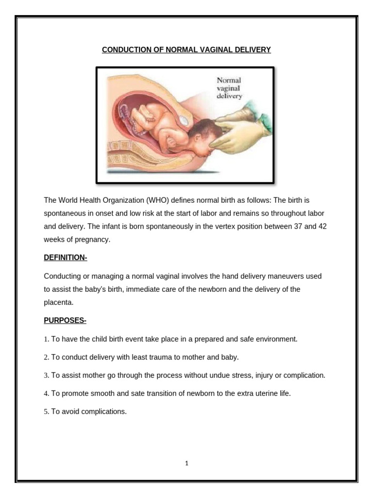Normal Vaginal Delivery Procedures Guide | PDF | Childbirth | Placenta