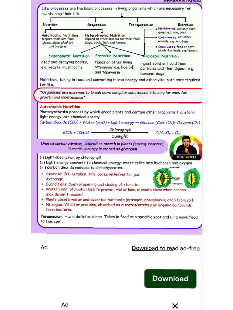 PDFReader 20250516 0937 | PDF