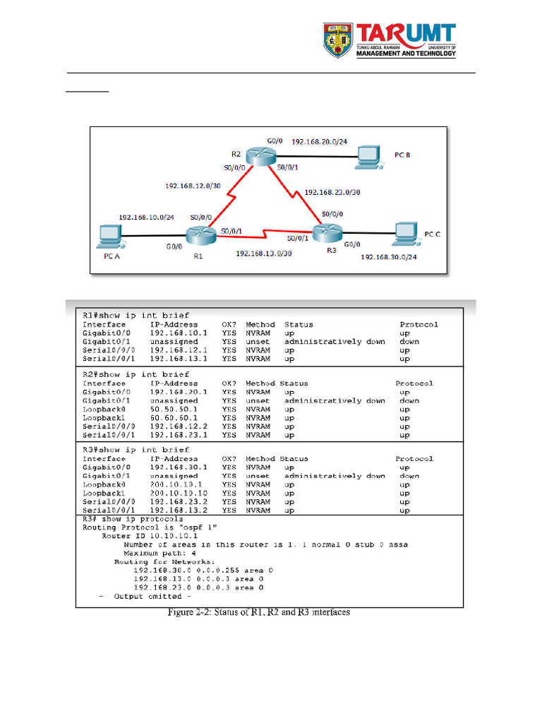 Single-Area OSPFv2 Concepts Overview | PDF | Network Protocols ...