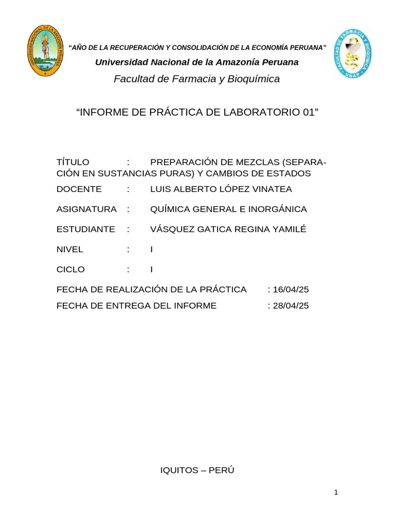 informe de práctica de labo 01 - química general e inorg | PDF | Mezcla | Fase (materia)