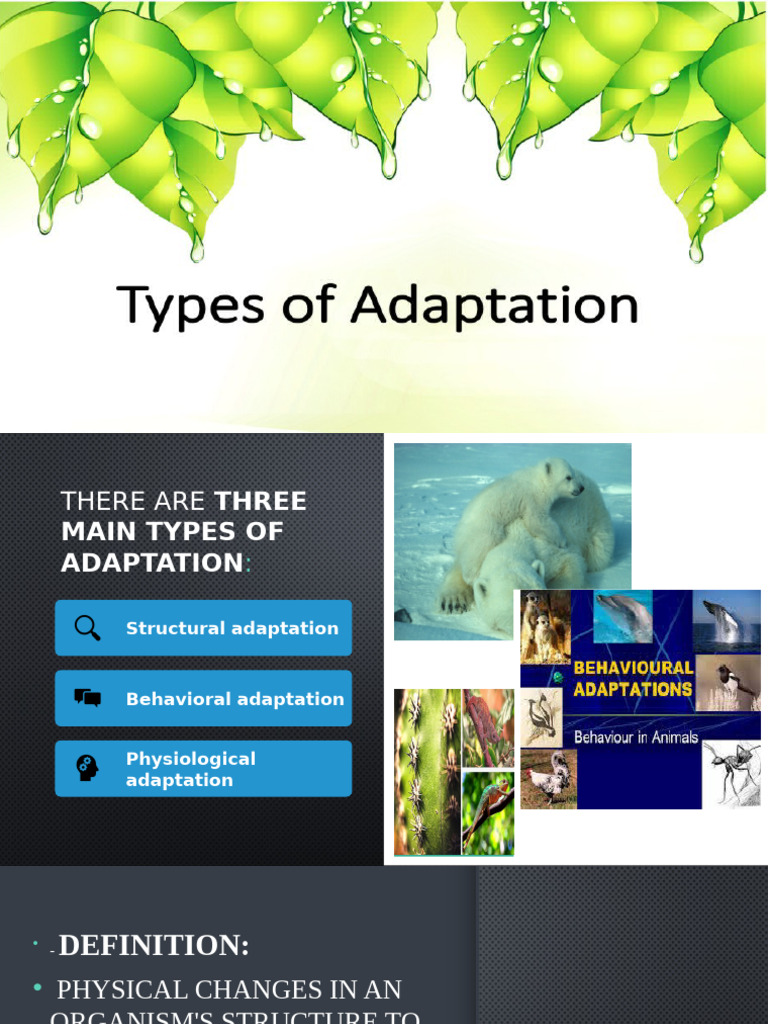Types of Adaptation | PDF
