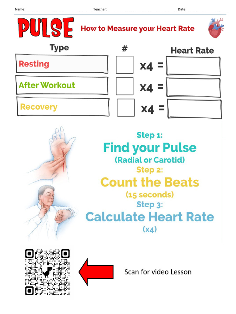 Pulse Worksheet | PDF