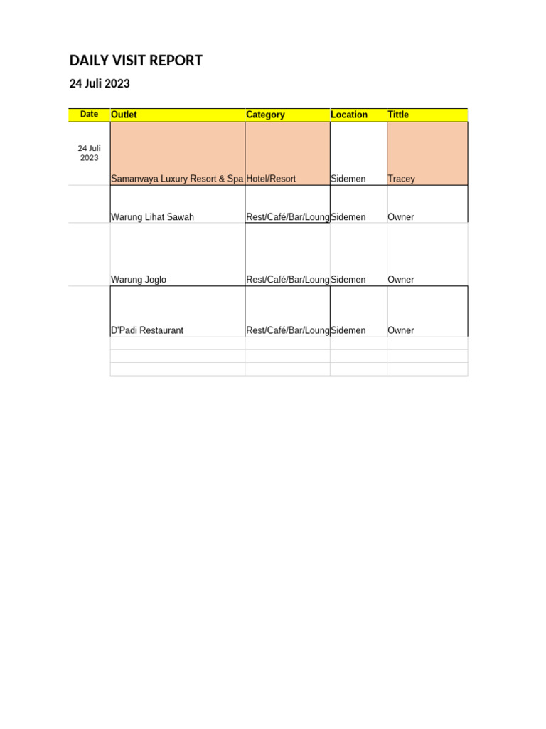 Daily Visit Report 2025 Sample | PDF