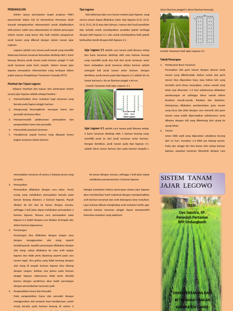 Sistim Jajar Legowo............................. 4 | PDF