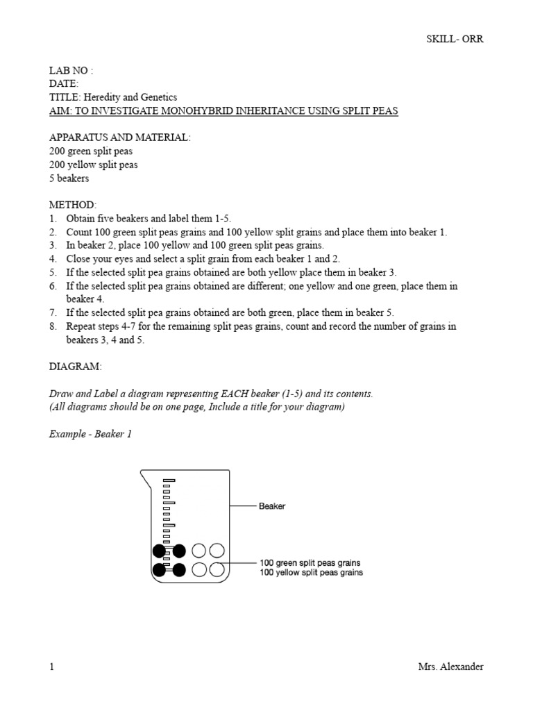 Monohybrid Inheritance with Split Peas | PDF | Genotype | Biological ...