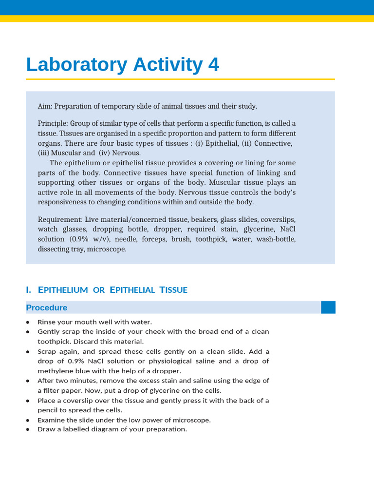 Lab Activity 4 Histology | PDF | White Blood Cell | Muscle