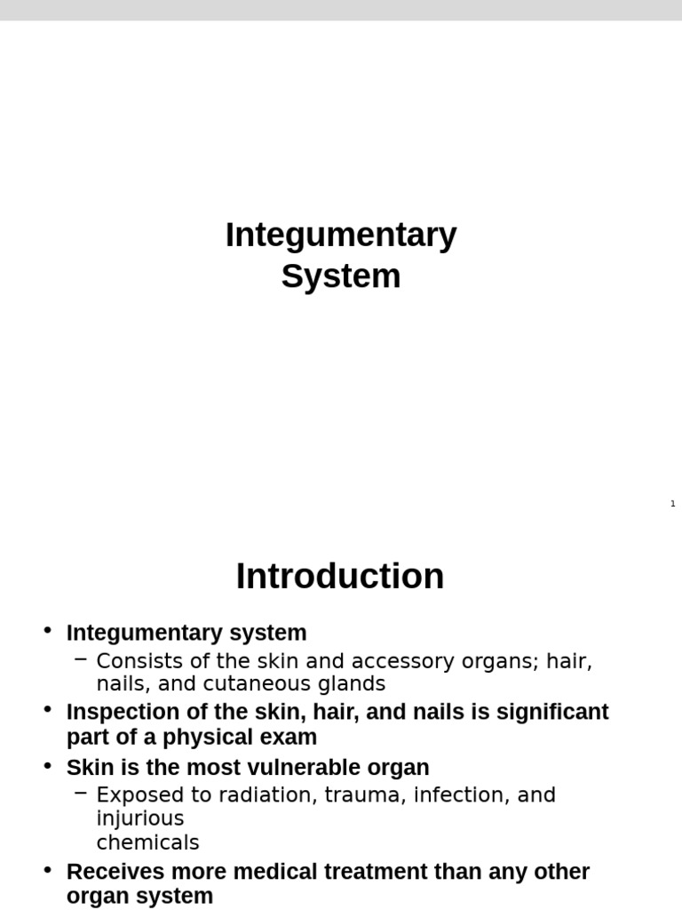 Integumentary System 1 | PDF | Epidermis | Skin