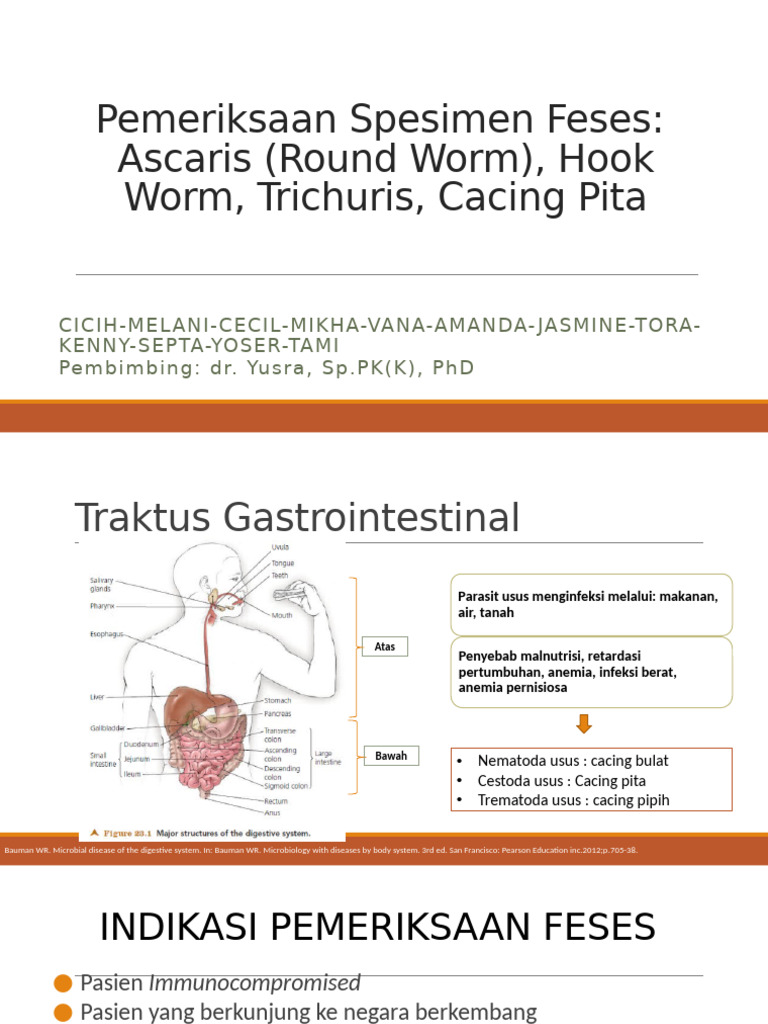 1 Pemeriksaan Spesimen Feses - Ascaris (Round Worm), Hook Worm ...