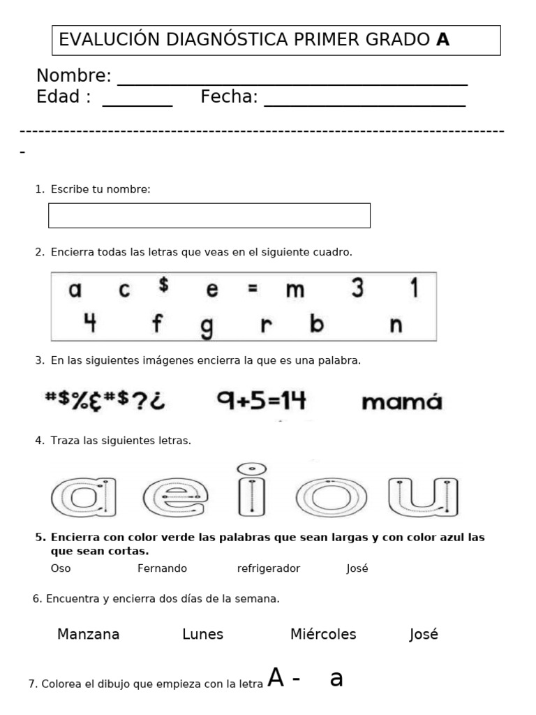 Evaluación Diagnóstica Comunicación Primer Grado Pdf