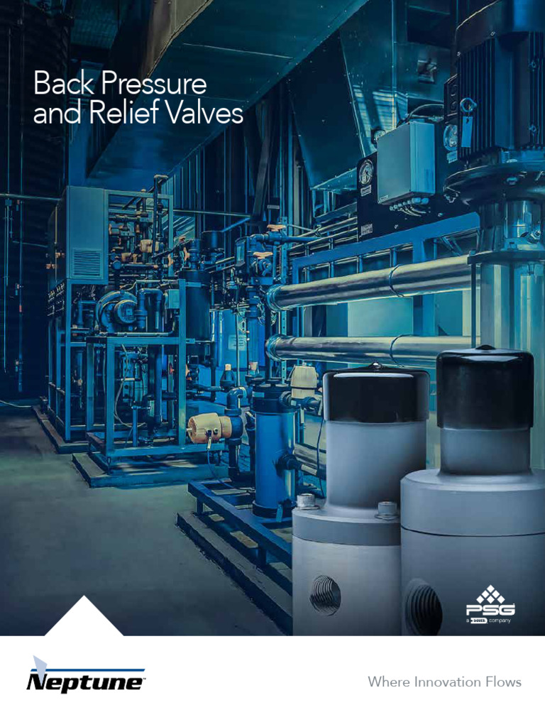 Back Pressure and Relief Valve Specs | PDF | Valve | Pump