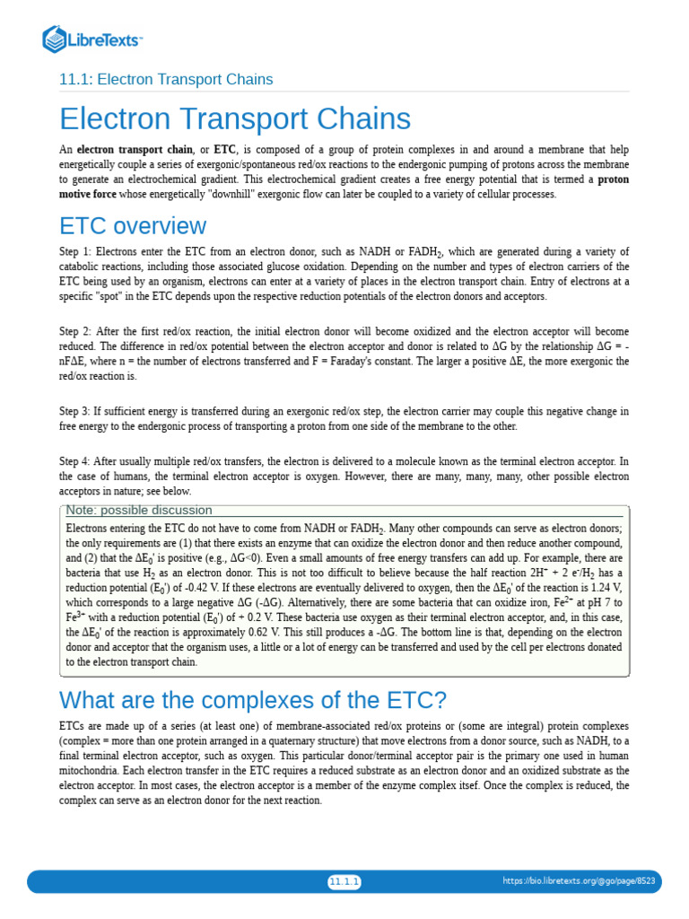 11.1_Electron_Transport_Chains | PDF | Electron Transport Chain | Redox