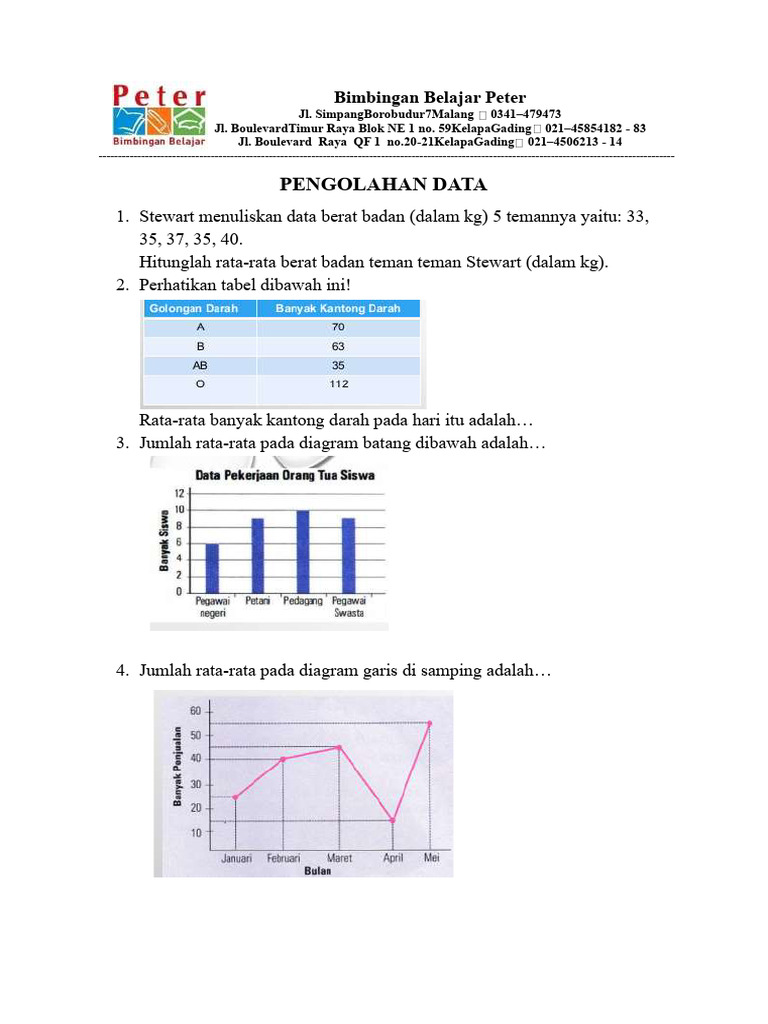PENGOLAHAN DATA KELAS 6 KIE AND GARREN | PDF