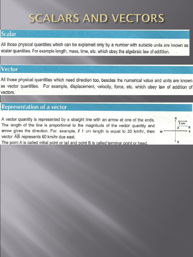 Scalars and Vectors | PDF | Euclidean Vector | Velocity