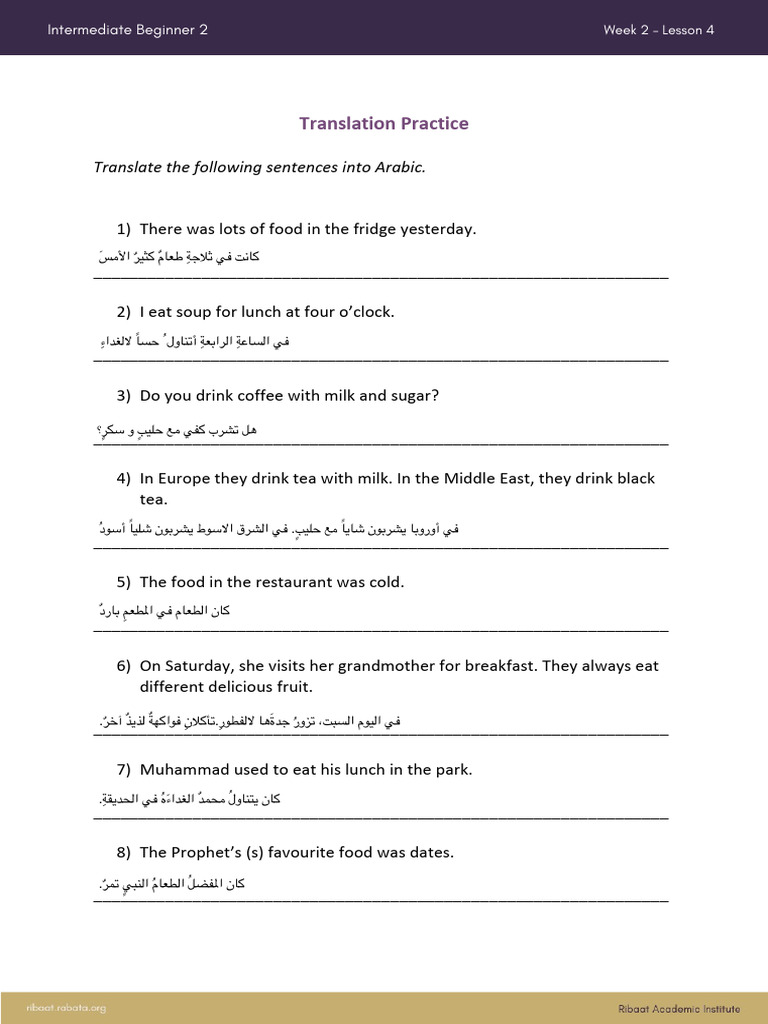 IB2.24A2 - Translation Task | PDF