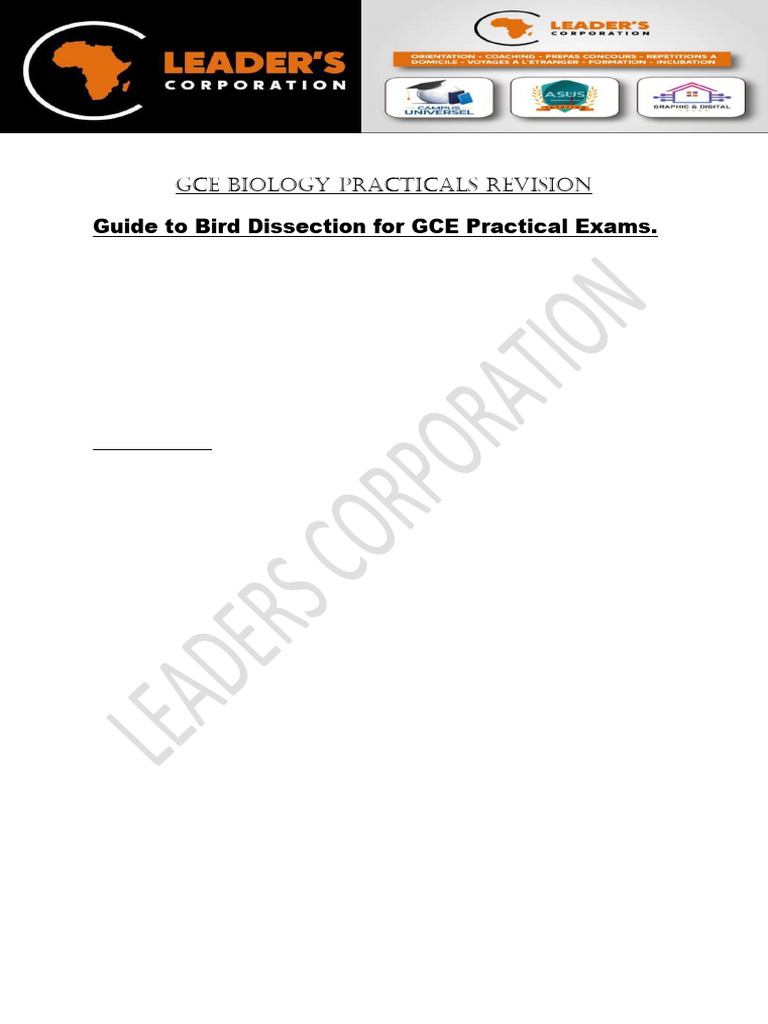 Bird Dissection Explained-Leaders Corp | PDF | Birds | Thorax