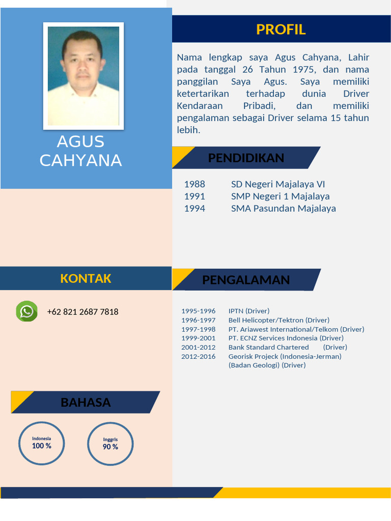 Contoh CV 1 | PDF