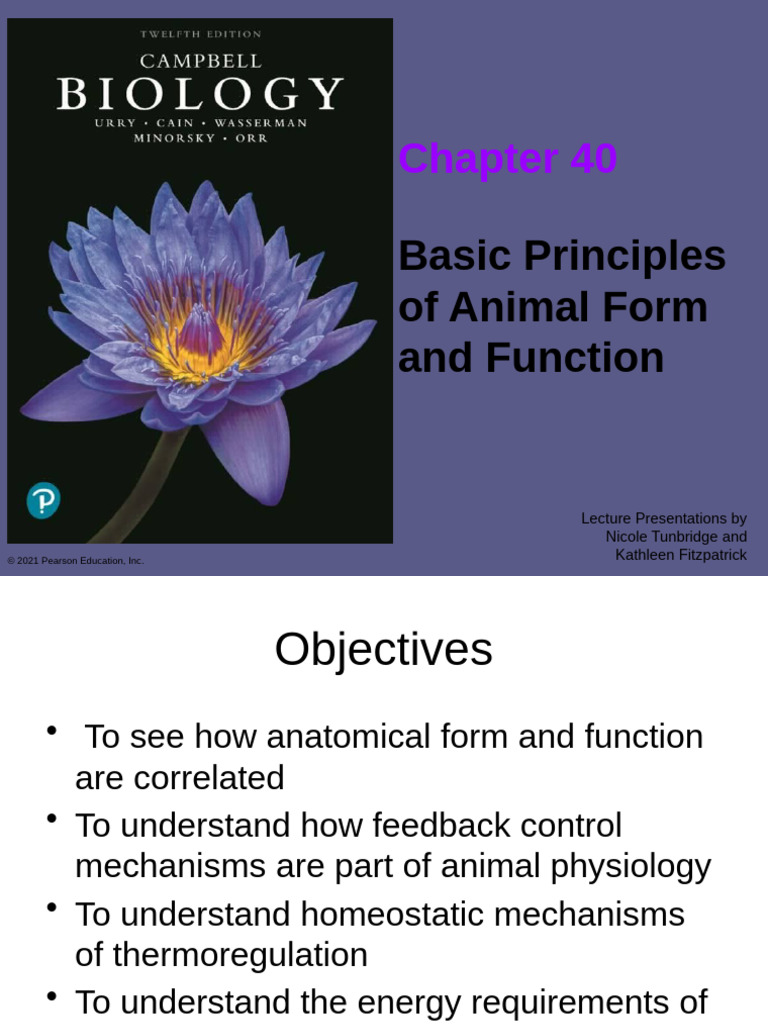 Lecture 7 Chapter 40 Animal Form and Function SP25 2 | PDF ...