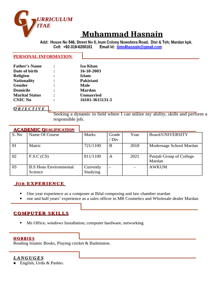 M Hasnain CV | PDF