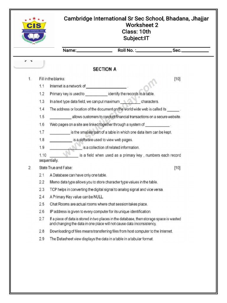 Class 10 IT Worksheet - Cambridge School | PDF