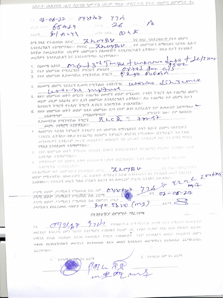 Mahlet Negese0001 | PDF