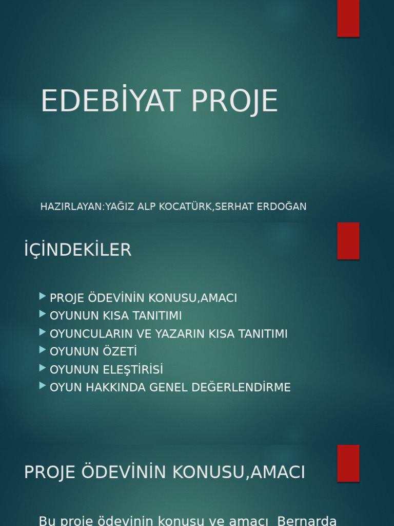 Edebi̇yat Proje | PDF