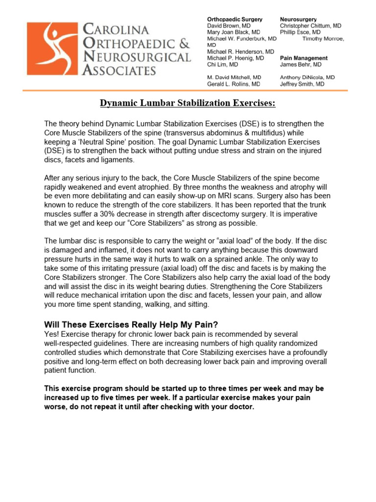 Dynamic Lumbar Stabilization Exercises | PDF