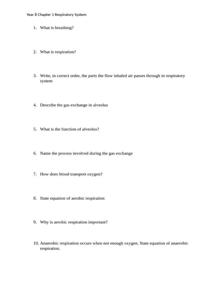 Year 8 Respiratory System Overview | PDF
