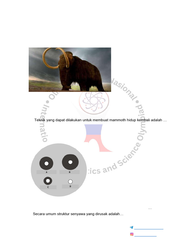 MINI TRYOUT 8 Maret 2025 OSN IPA SD Dan IMSO | PDF