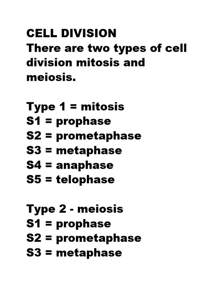 Cell Division | PDF