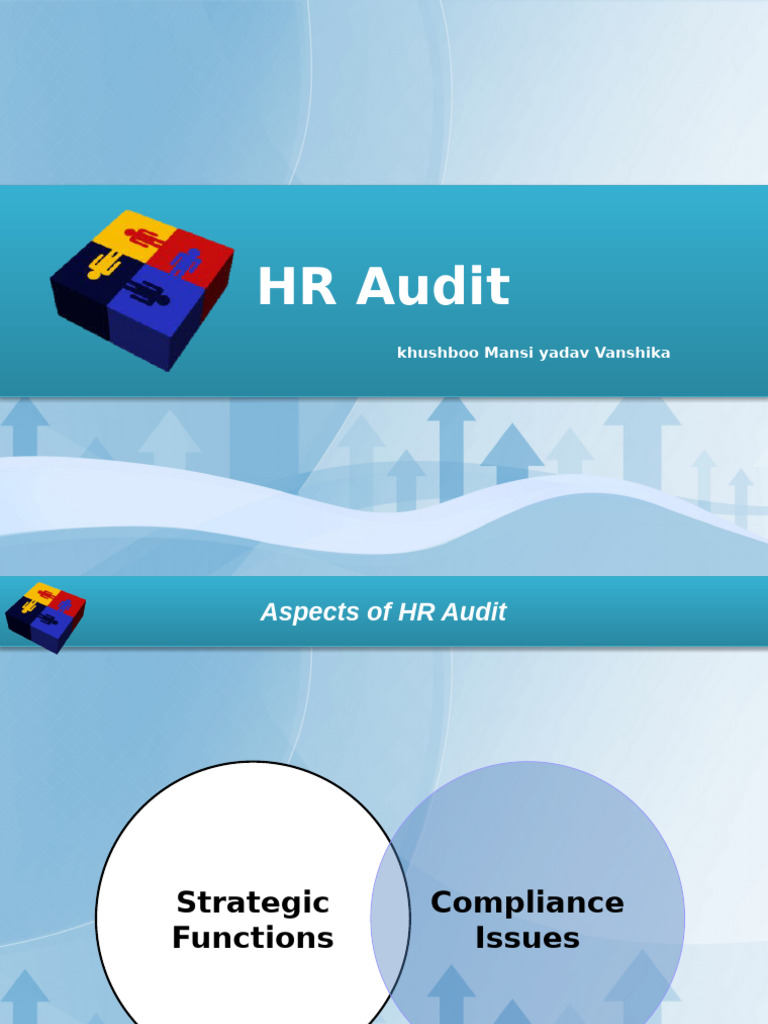 HR Audit Presentation | PDF | Audit | Human Resources