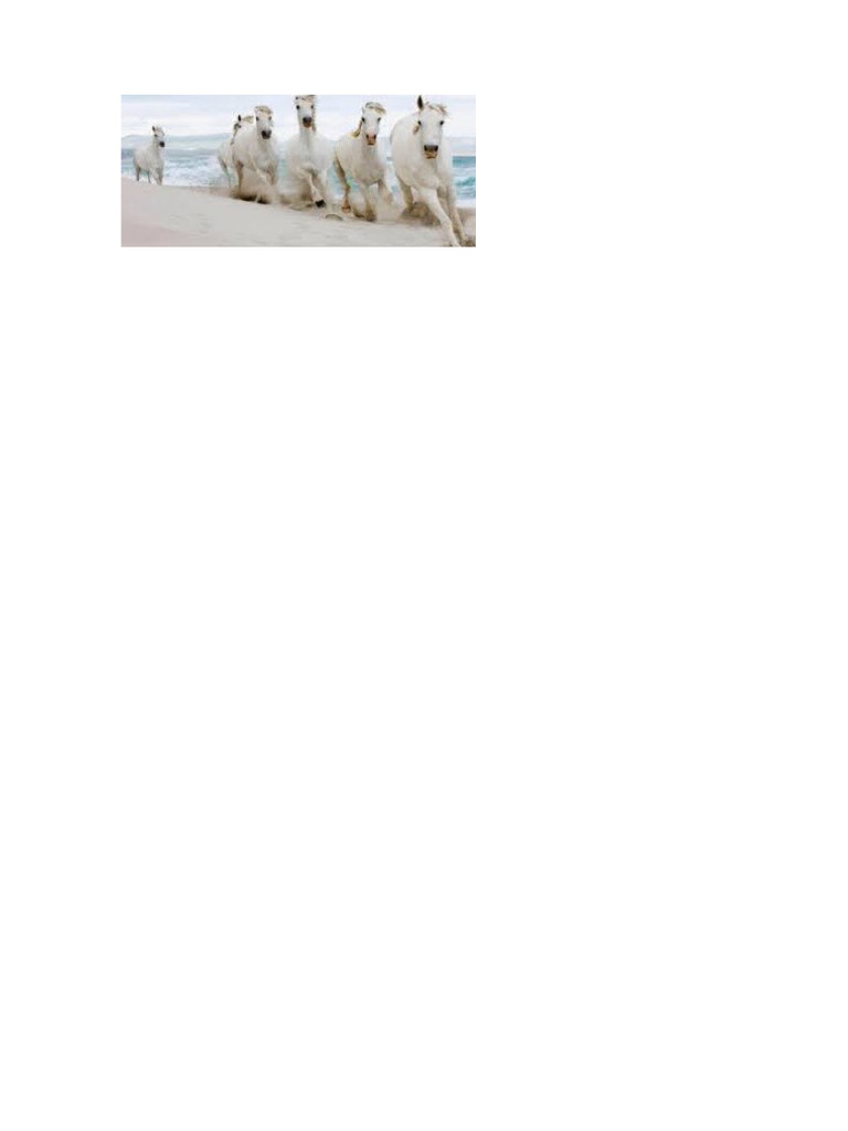 Caba 2 | PDF
