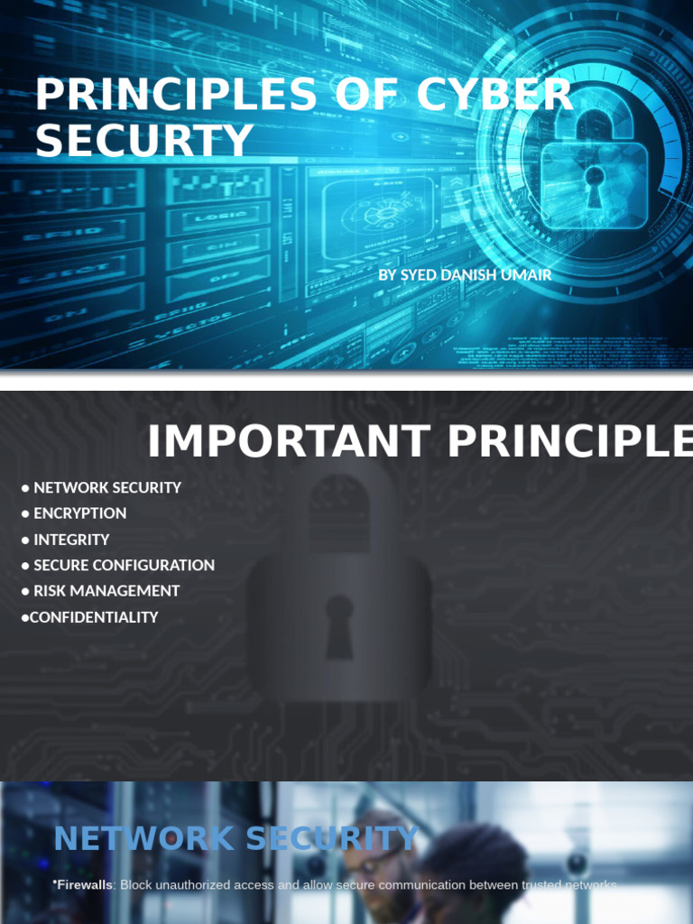 Principles of Cyber Securty | PDF