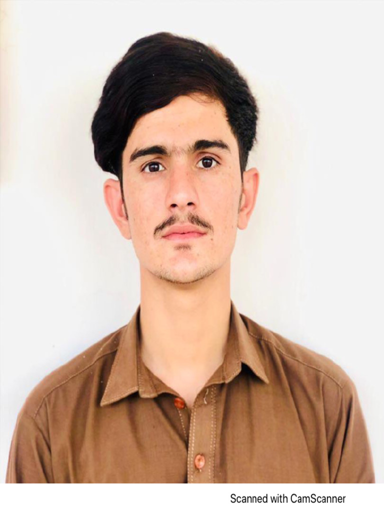 Hamayoon Ayoubi | PDF