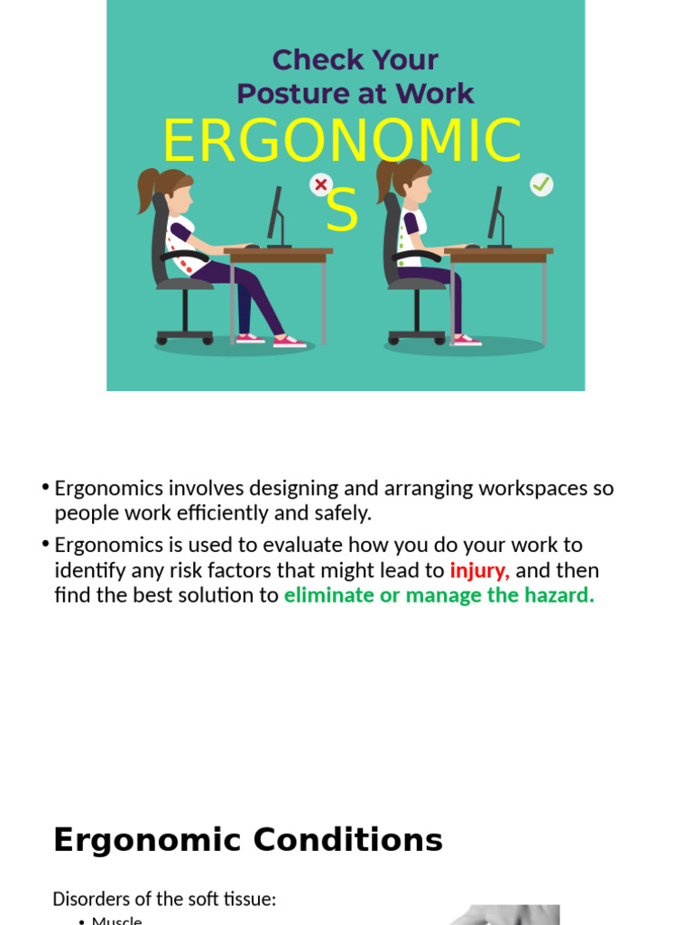 Ergonomics | PDF
