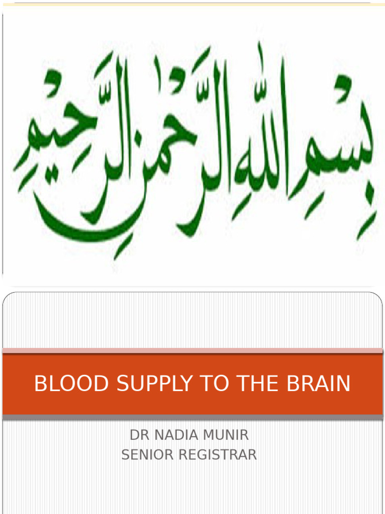 12 May 25 2nd Year DR Nadia Anatomy Lec 2 Blood Supply To The Brain ...