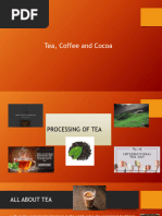 CTC Tea Production Process Overview | PDF | Tea | Leaf