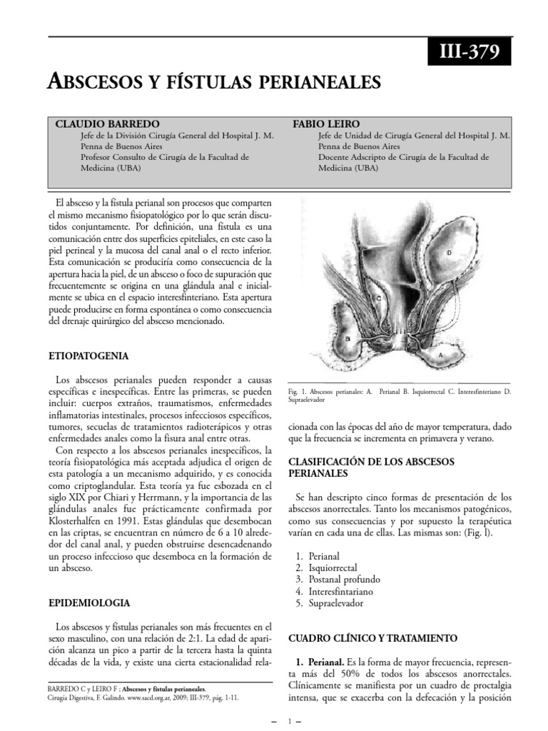 Absceso Perianal 2009 | PDF | Gastroenterología | Medicina