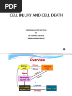 Marrow Edition 8 Physiology Notes PDF | PDF | Software | Digital Technology
