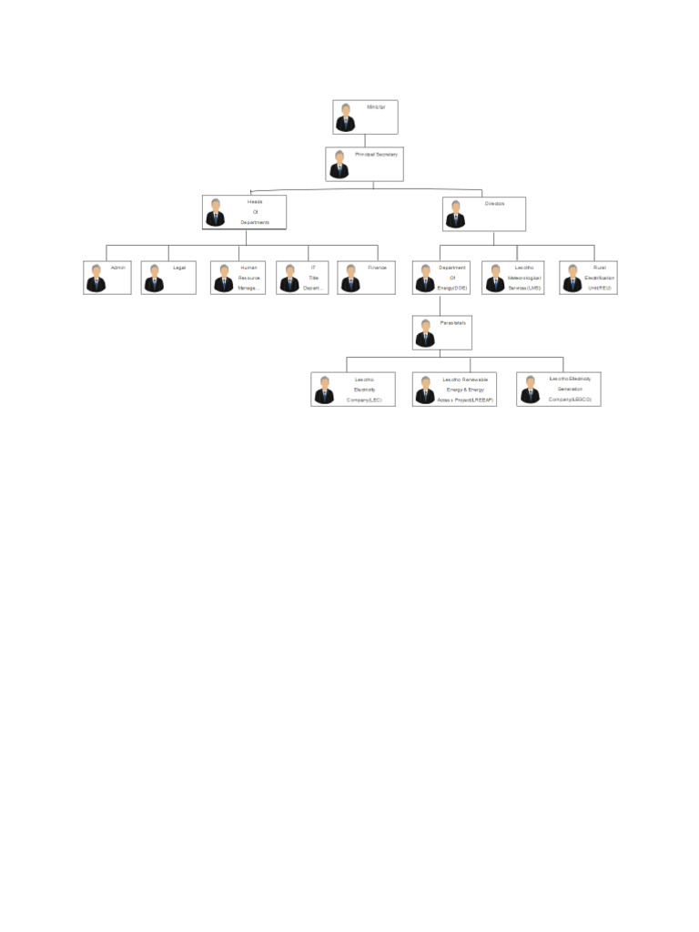 Org Structure | PDF