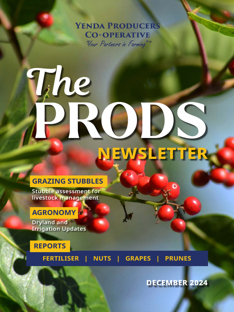 Yenda Producers The Prods Newsletter Dec 2024 | PDF | Weed | Lawn