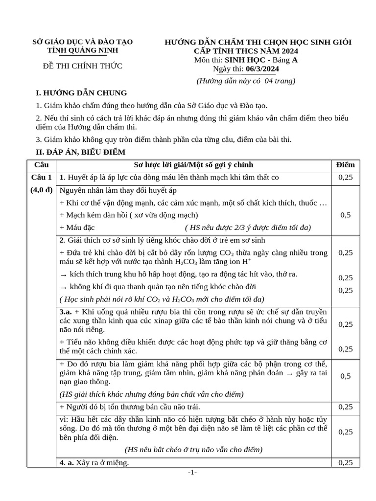 HDC Sinh Hoc A HSG9 2024 | PDF