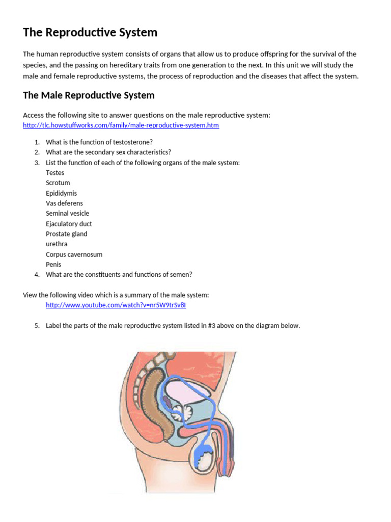 Reproduction Webquest | PDF