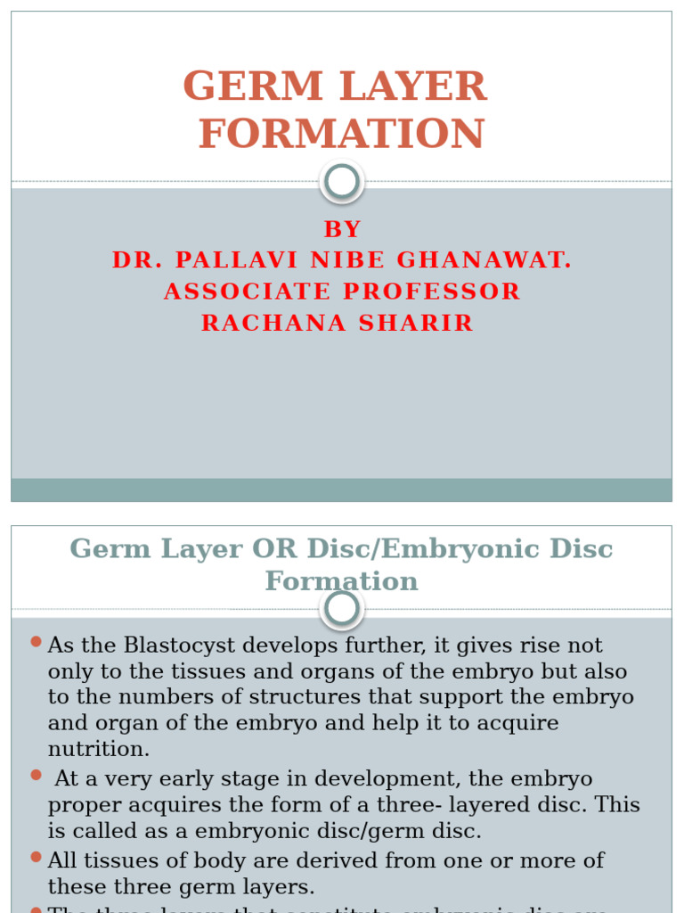 Germ Layer Formation | PDF | Anatomy | Developmental Biology